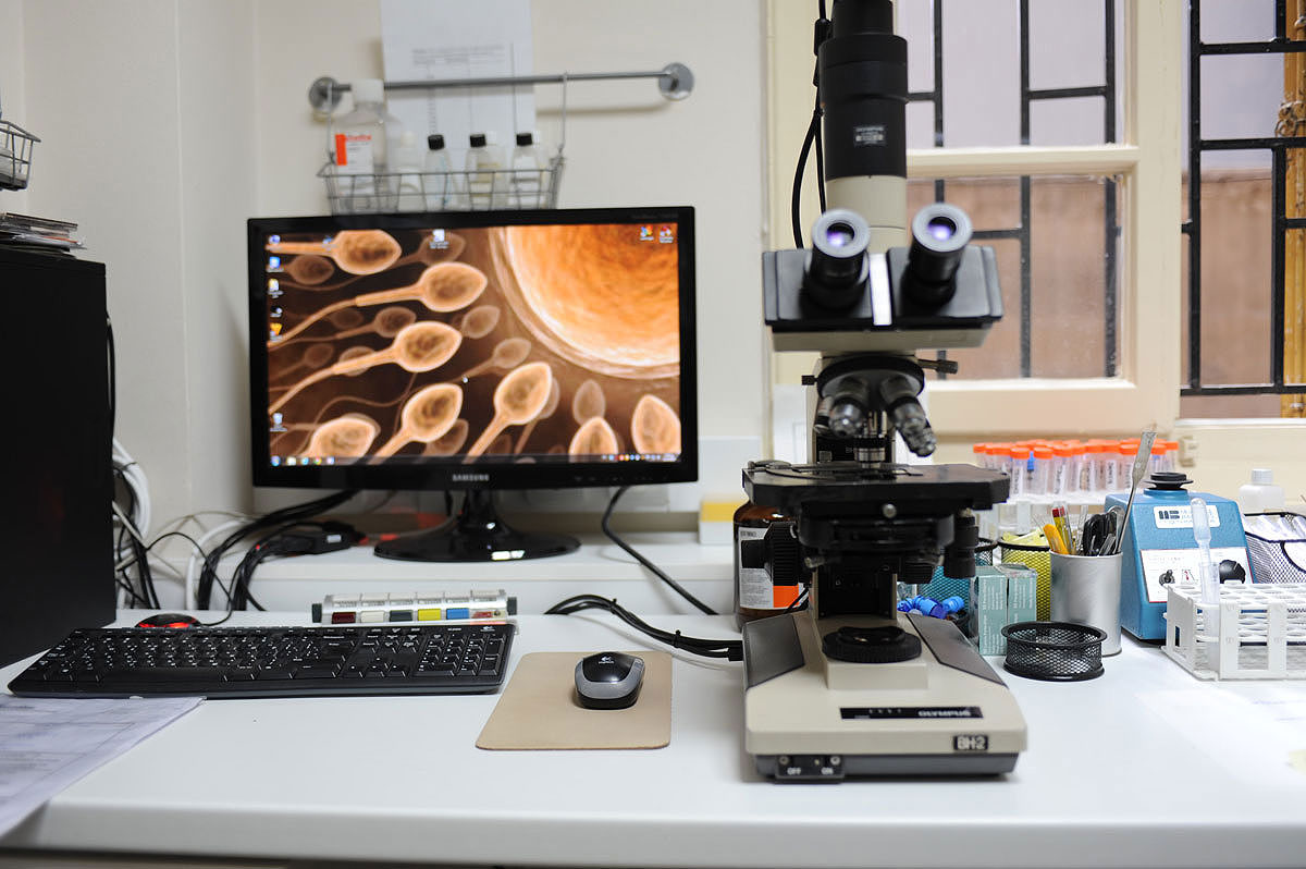 WELCOME TO THESSALONIKI ANDROLOGY AND FERTILITY LABORATORY - Eργαστήριο ...